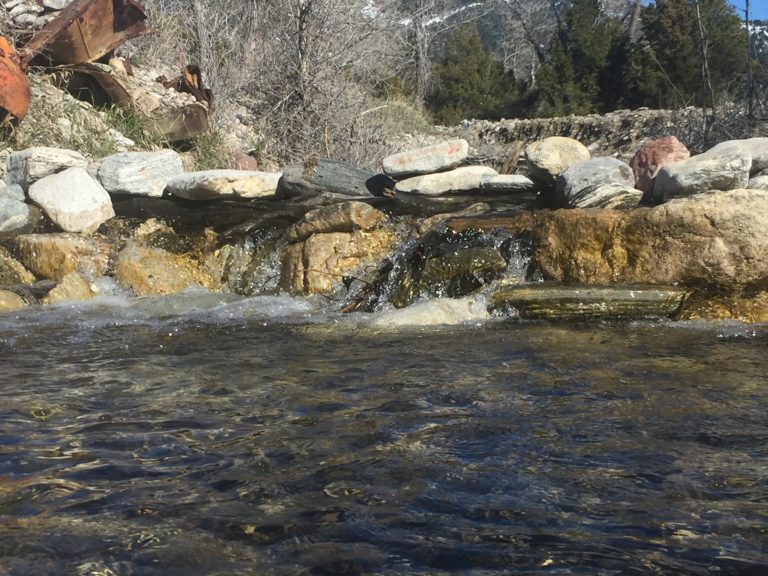 Gallery | Double R Ranch